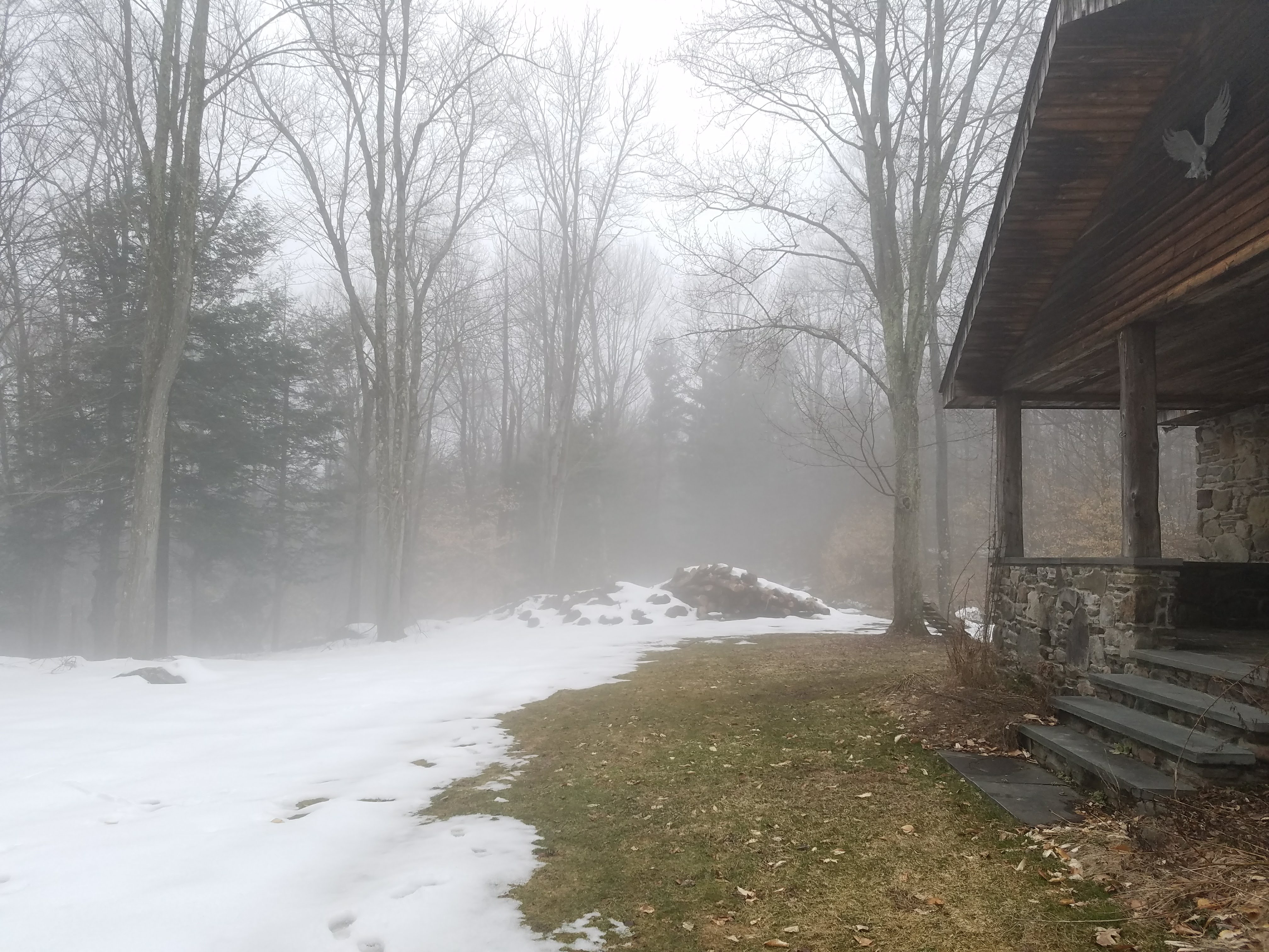 backyard rewilding – this wild thing, ltd