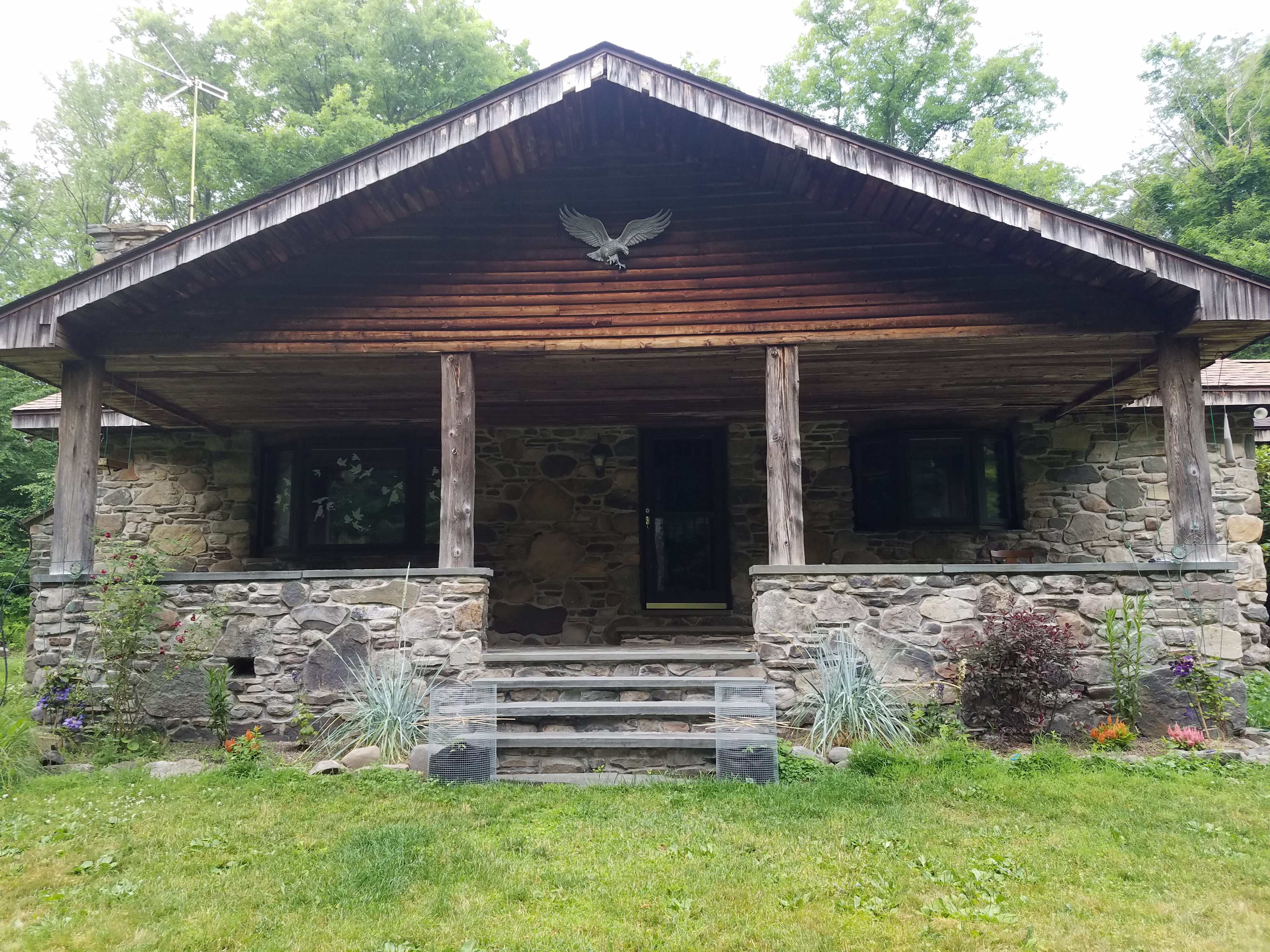 backyard rewilding – this wild thing, ltd